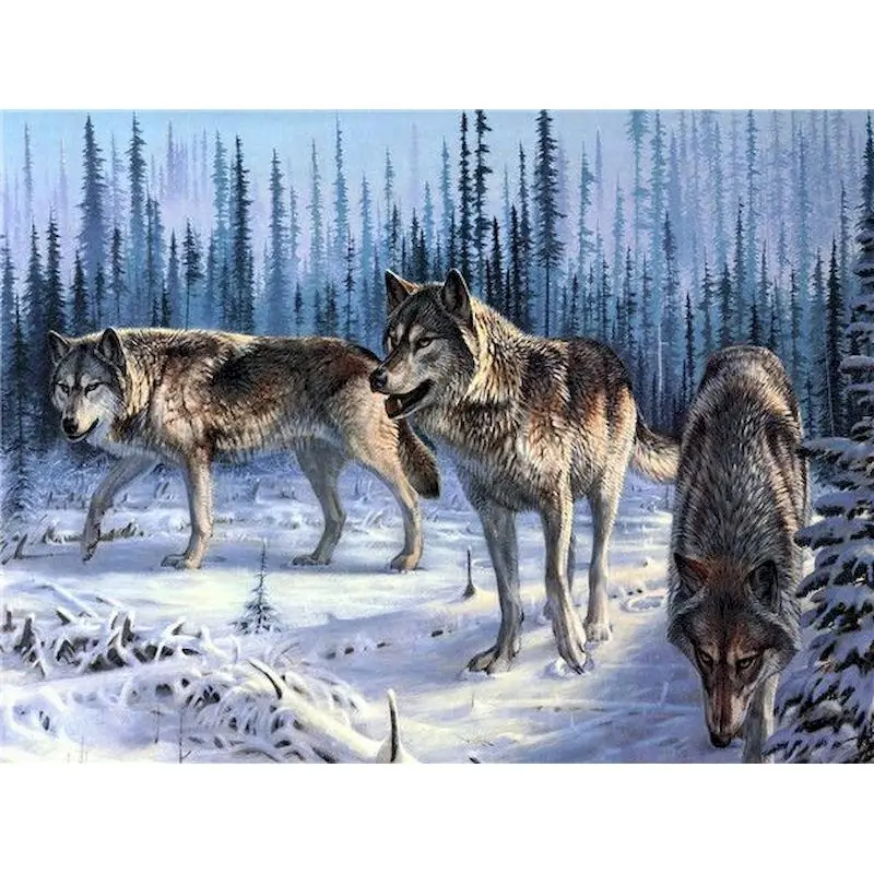 Wolf Pack Paintings