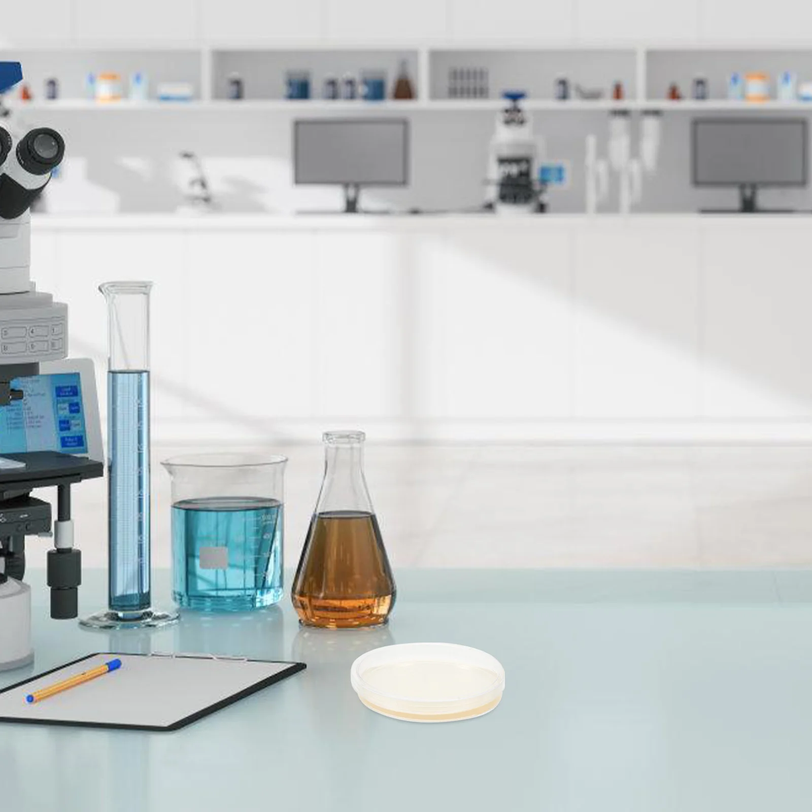 10-Pcs-Nutrient-Agar-Plate-Petri-Plates-Experiment-Supplies-Mushroom ...