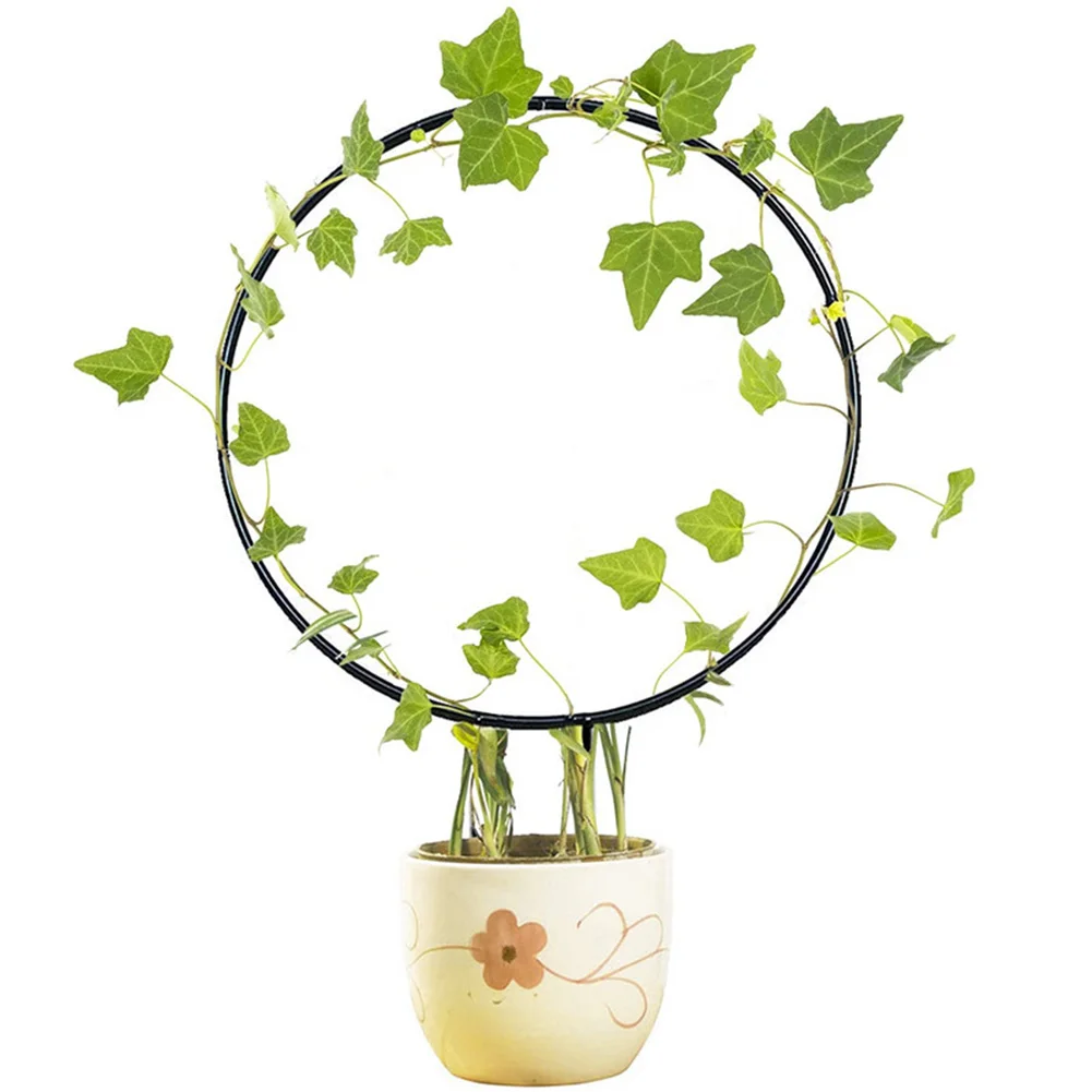 Plant-Trellis-Support-Frame-Love-Heart-shaped-Round-Vine-Rack-Flower ...
