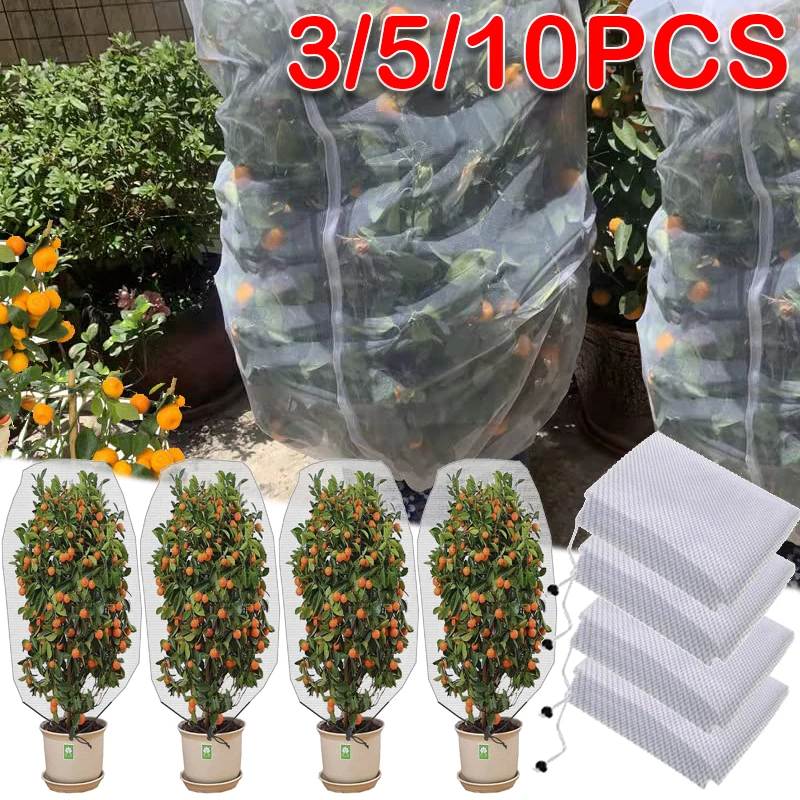 Plant-Protection-Bags-Fruit-and-Vegetables-Tree-Barrier-Strawberry ...