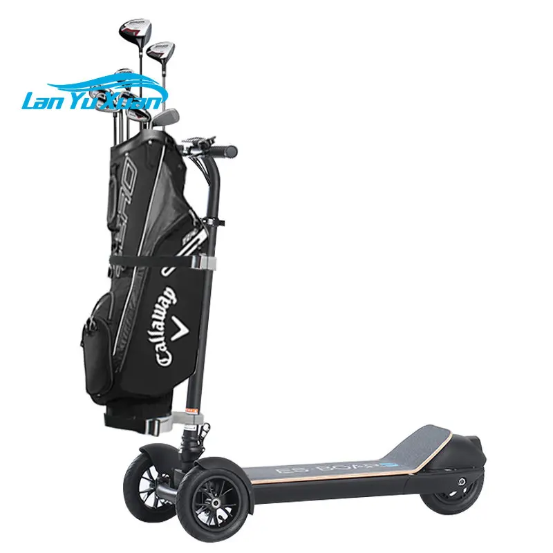 Sale-500W-3-wheel-golf-cart-electric-scooter-trolley-with-single-bag ...