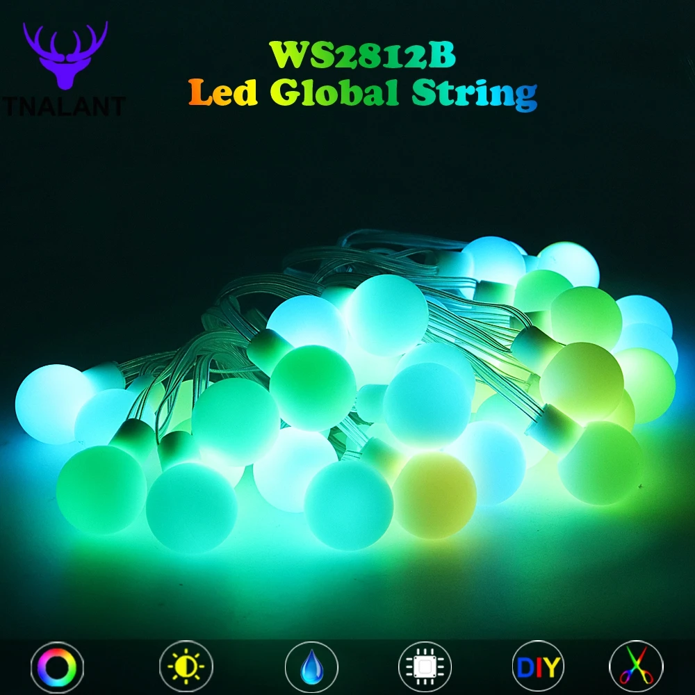 Dream-Color-LED-Round-Ball-String-Light-WS2812B-Addressable ...