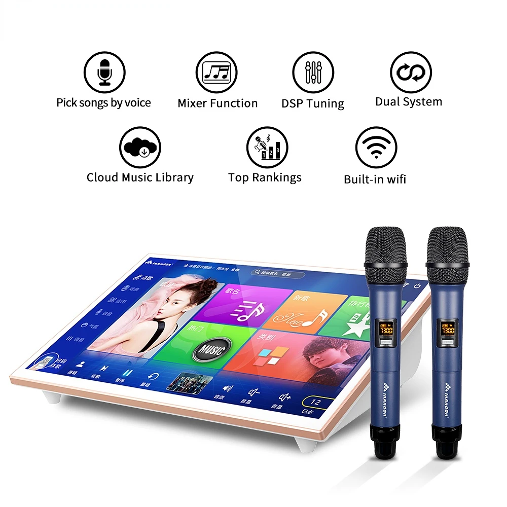 Factory Platinum Karaoke Machine System WIFI Singing