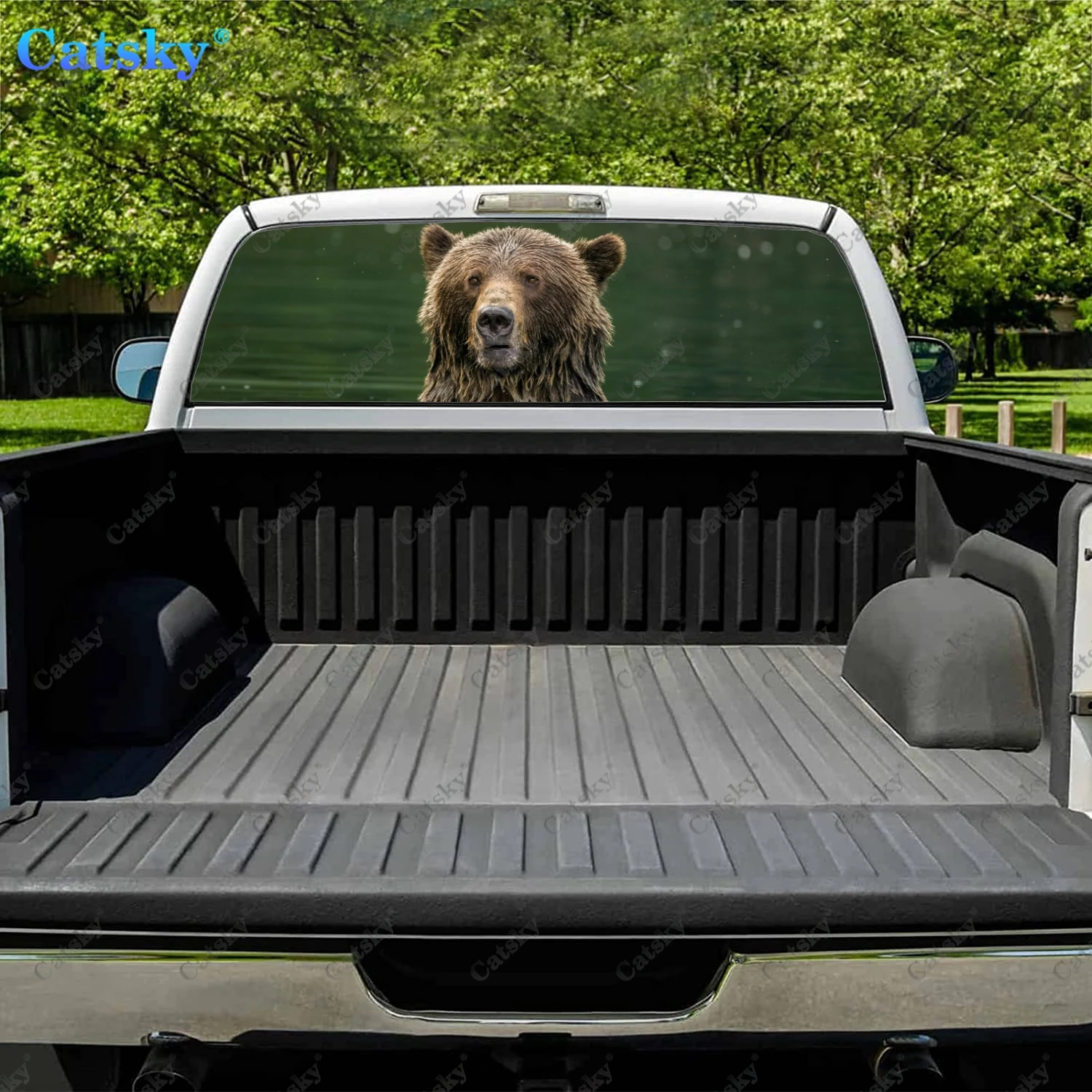 Pick Up Window Graphics