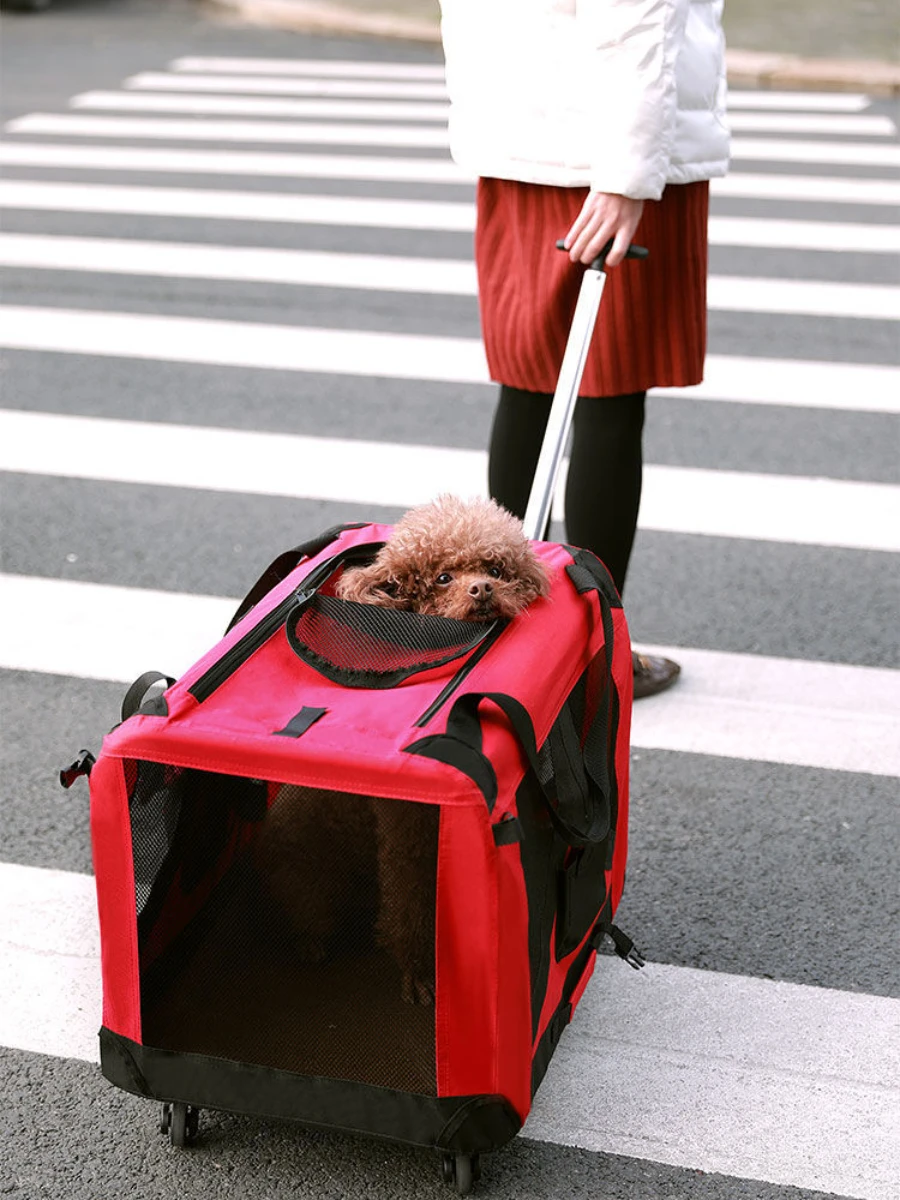 Dog Crates That Are Zebra