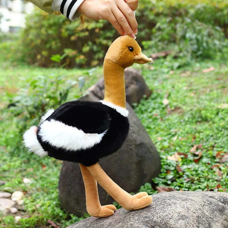 40/50CM Simulated Bird Plush Toys Lifelike Ostrich Stuffed Wild Animal ...