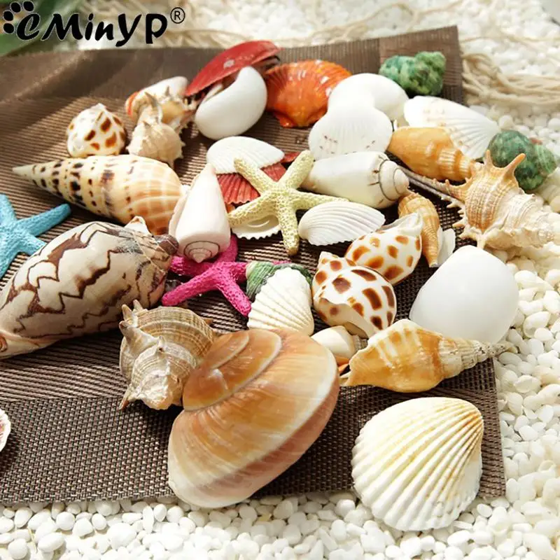 100g-bag-Natural-Mini-Conch-Mediterranean-Mixed-Real-Small-Sea-Shells ...