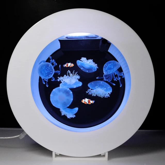Desktop Jellyfish Tank