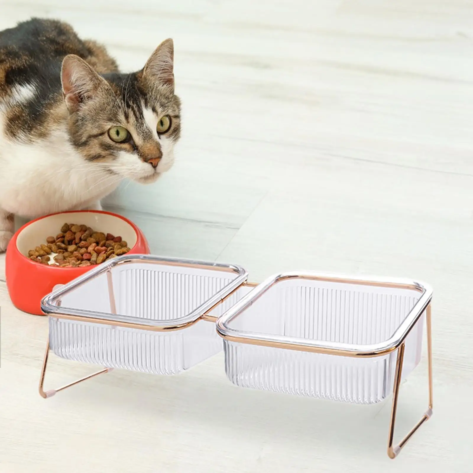 Tilted-Raised-Cat-Bowls-Non-Slip-Neck-Protection-Cat-Food-and-Water ...