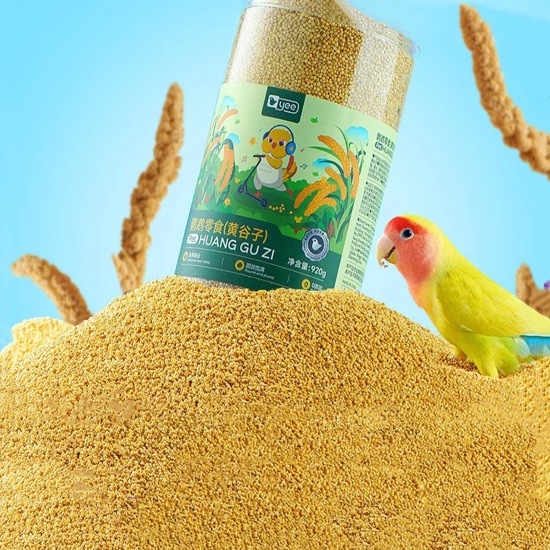 Bird Food Berry Seeds Parrot Food Parrot Yellow Millet Bird Food ...