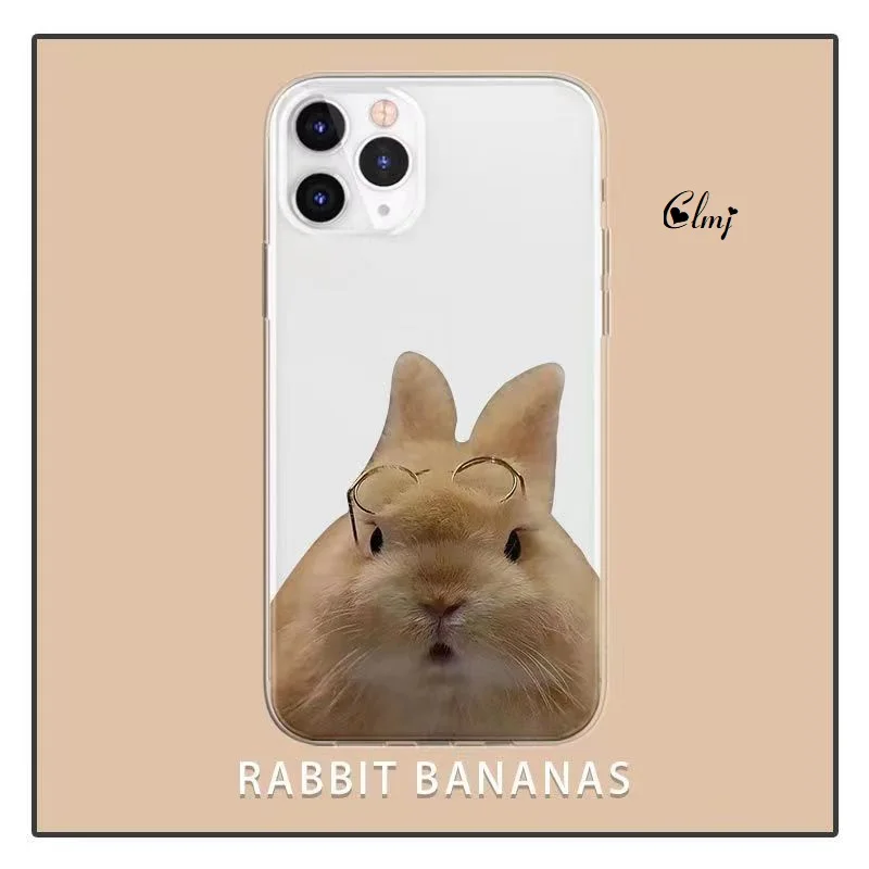 Clmj-Cute-Rabbit-Phone-Case-For-iPhone-14-Plus-11-12-13-Pro-XS-XR-X.jpg