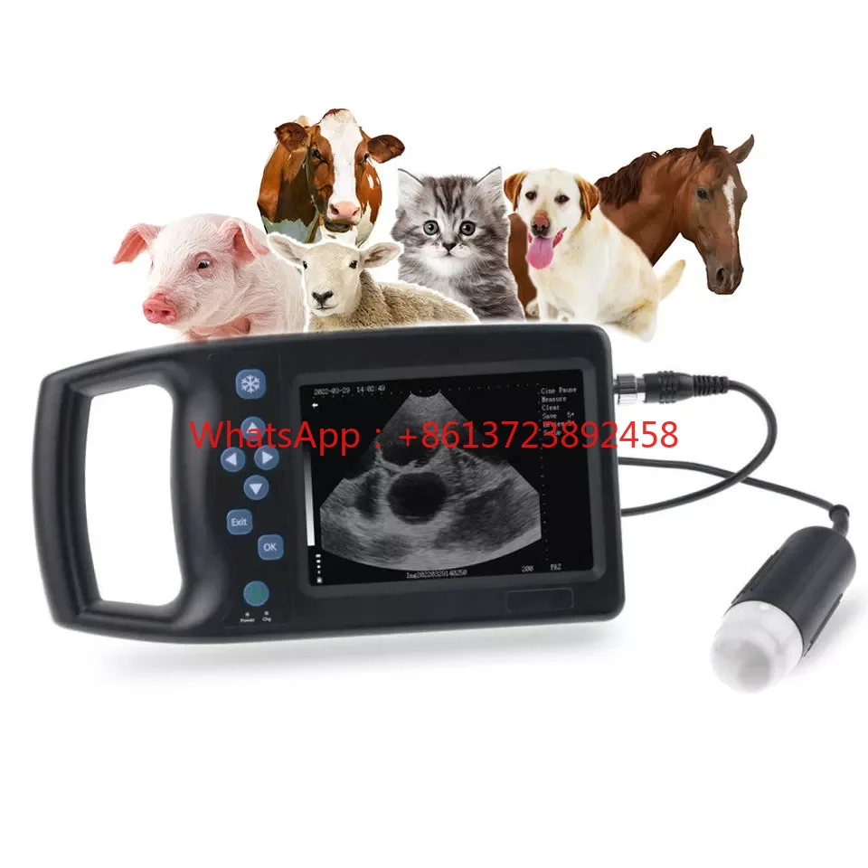 S5a430bf9be2f42bb8705209ceb9d55c24.jpg