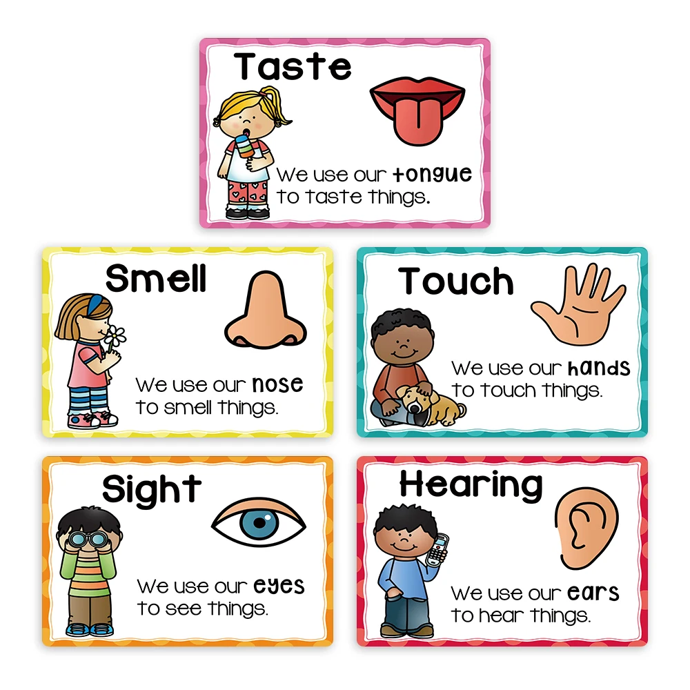5 Pcs Five Senses English Words Posters Classroom Decoration posters ...