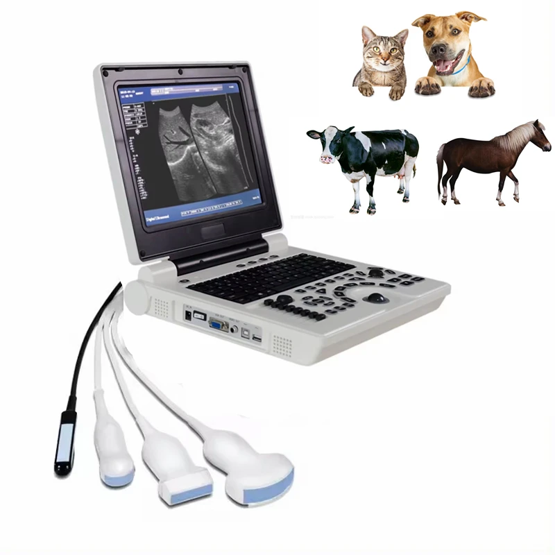 12-Inch-LED-Screen-Black-White-Animal-Notebook-Portable-Pet-Veterinary ...