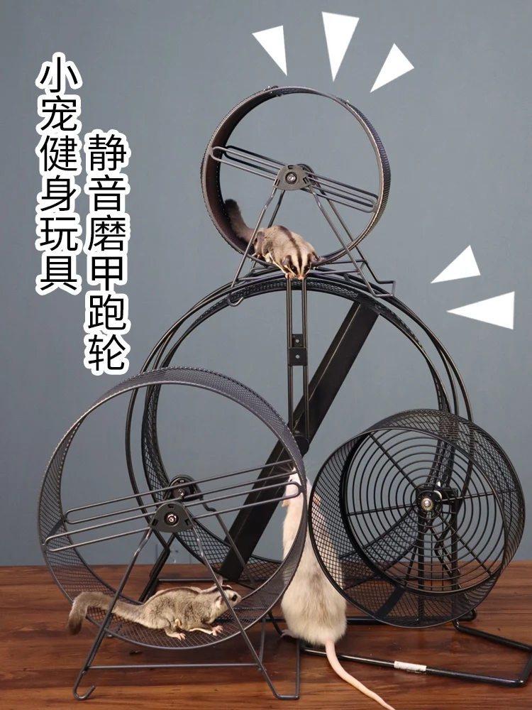 Sugar-Glider-running-wheel-silent-nail-grinding-squirrel-chinchilla ...