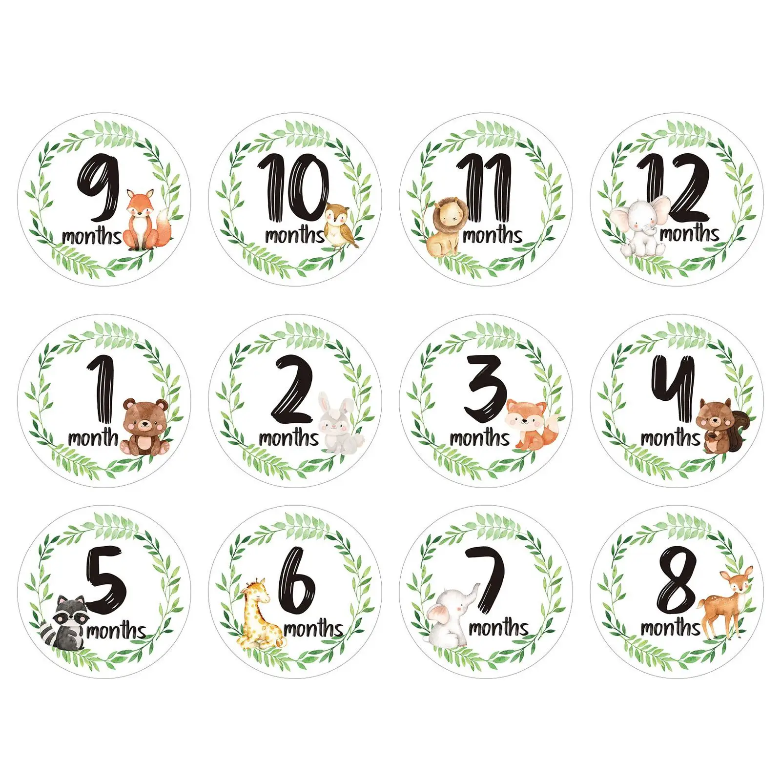 Printable Baby Month Tag