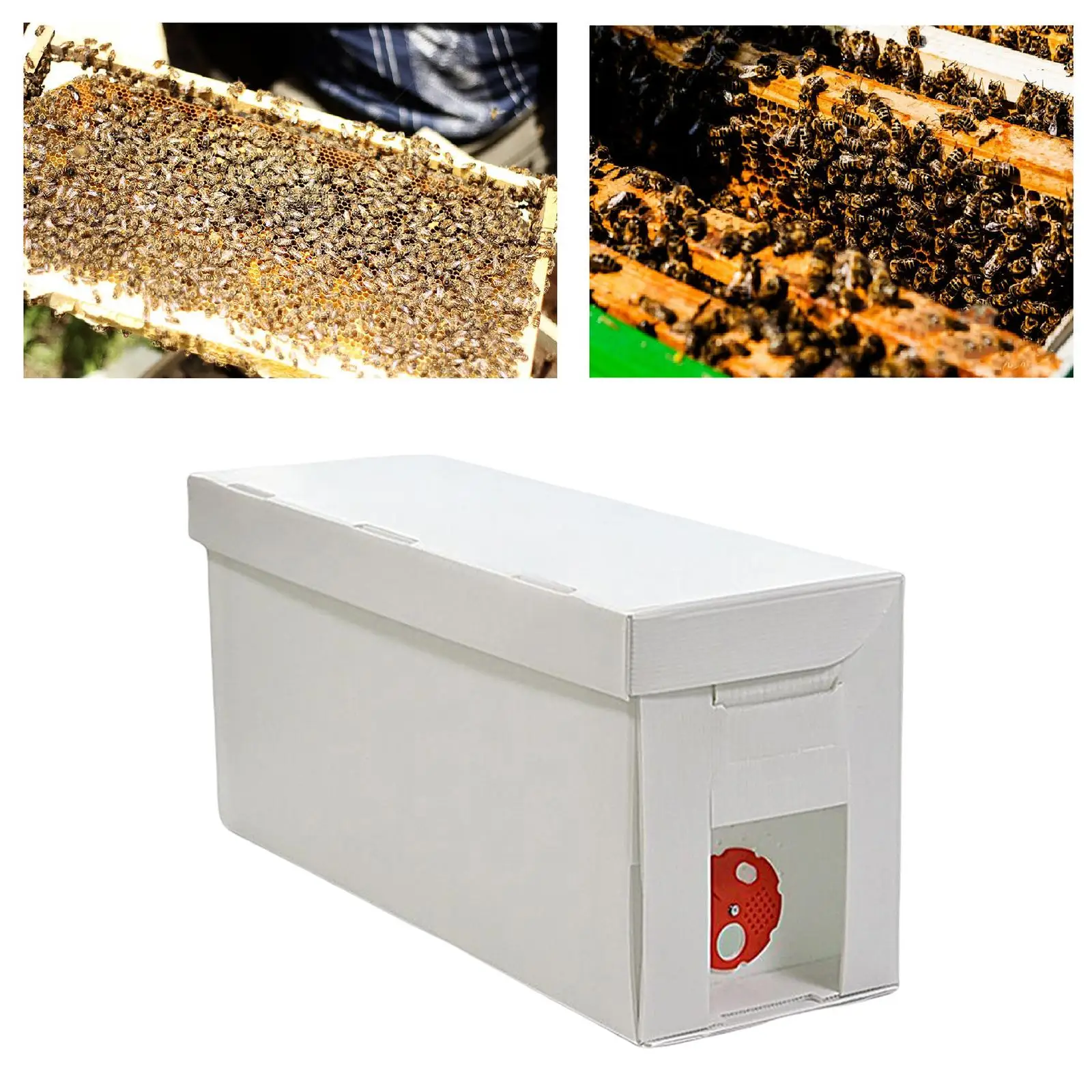 Bee-Pollination-Box-Bee-Queen-Rearing-System-Beekeeping-Kit-Frame ...