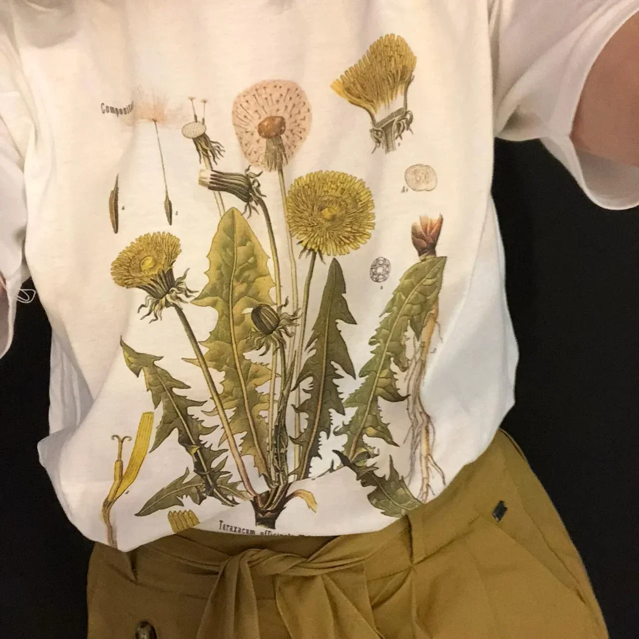 Dandelion-Botanical-Graphic-Tshirt-Hiking-Shirt-Botanical-Print-Shirt ...