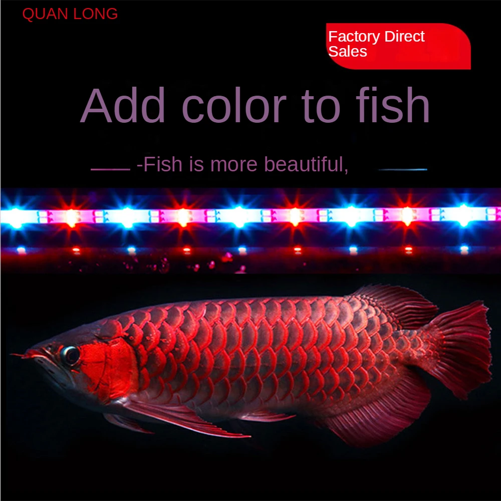 LED Dragon Fish Tank Lights Brighten Both Water and Land 3 Color ...