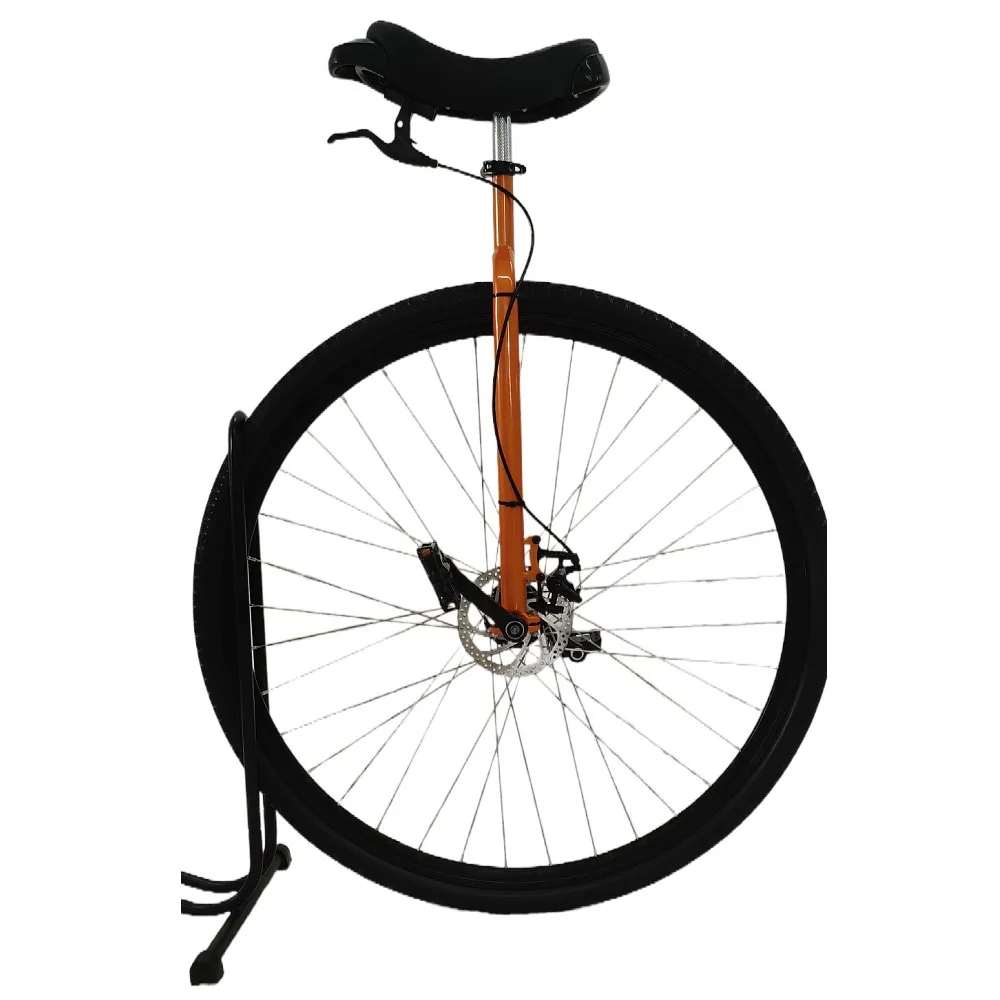 Unicycle