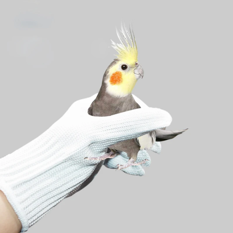 Parrot Anti-bite Gloves | That's So Fetch!