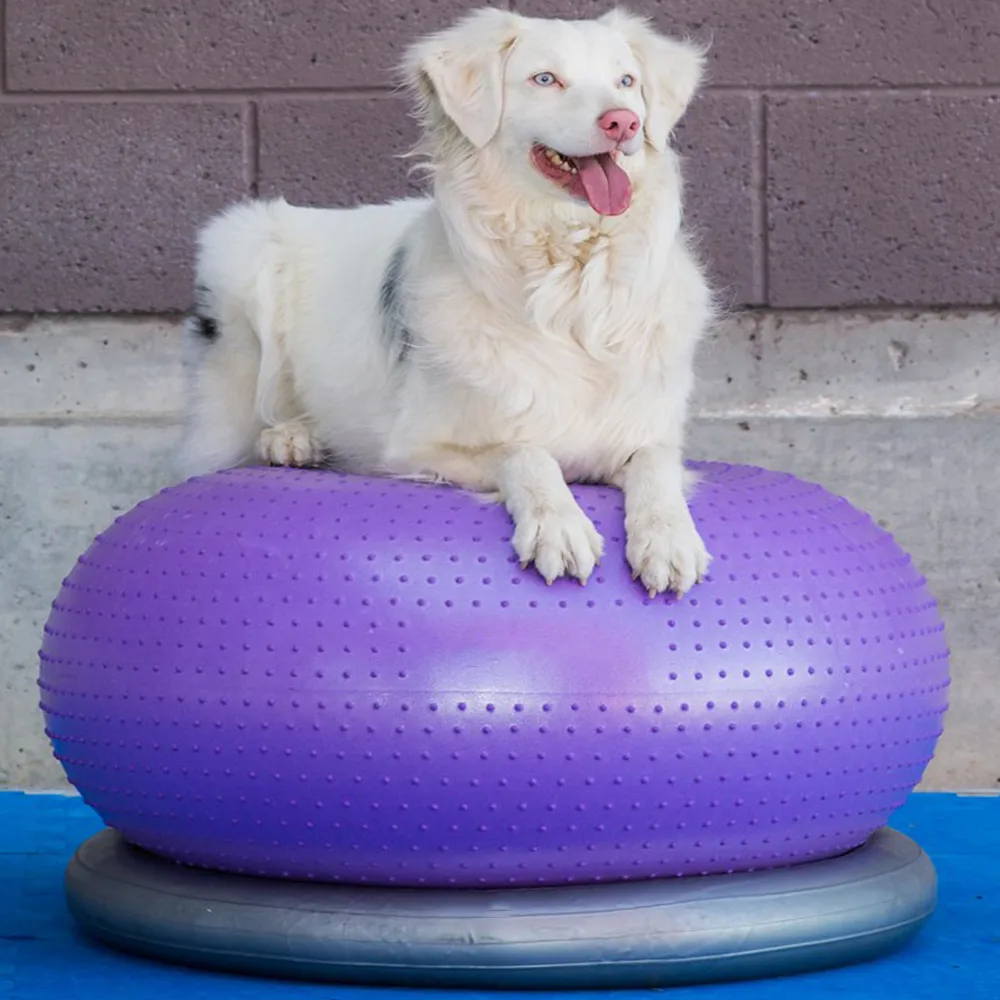 Dog Bodybuilding Sports Accessories Donut Fitness Ball Pet Special ...