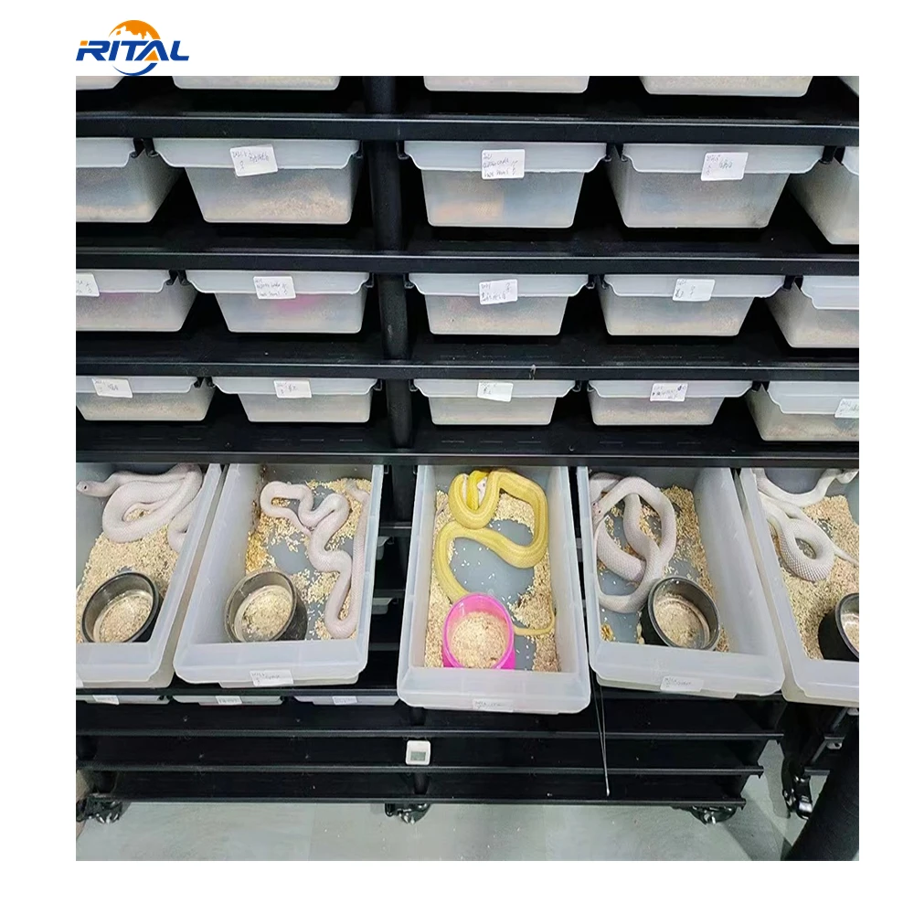 China-low-price-snake-reptiles-bins-pvc-feeding-reptile-Ball-Python ...