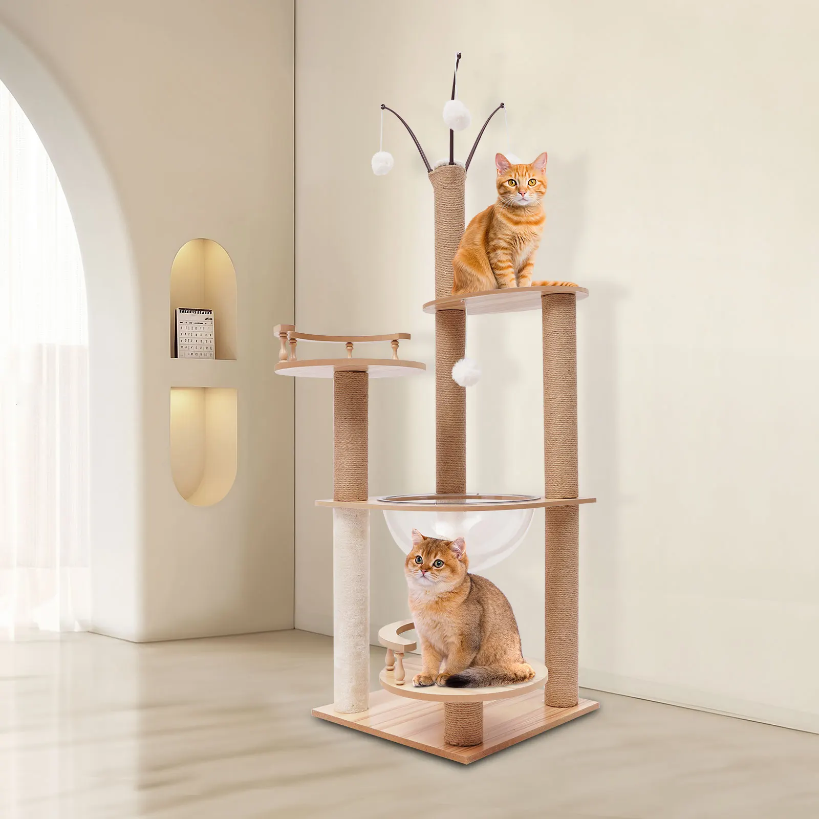 Condo Board Members: The Ultimate Guide to Choosing the Perfect Cat ...