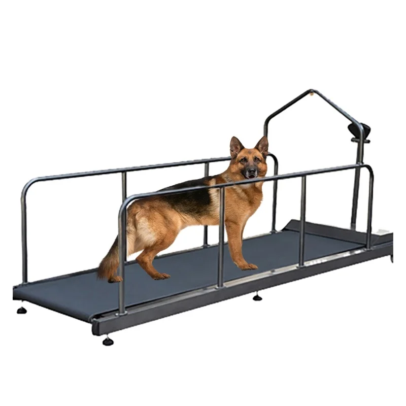 Dog-Training-Treadmill-Pet-Large-Dog-Extra-Long-Treadmill-For-Pets.jpg