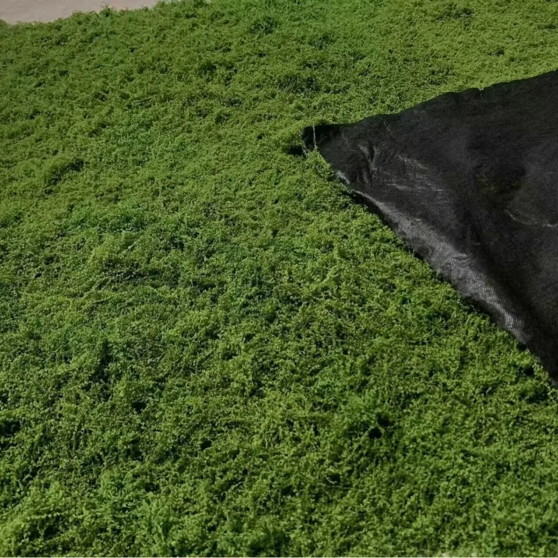Simulation White Hair Moss Silky Moss Lawn Simulation Wool Fake Moss ...