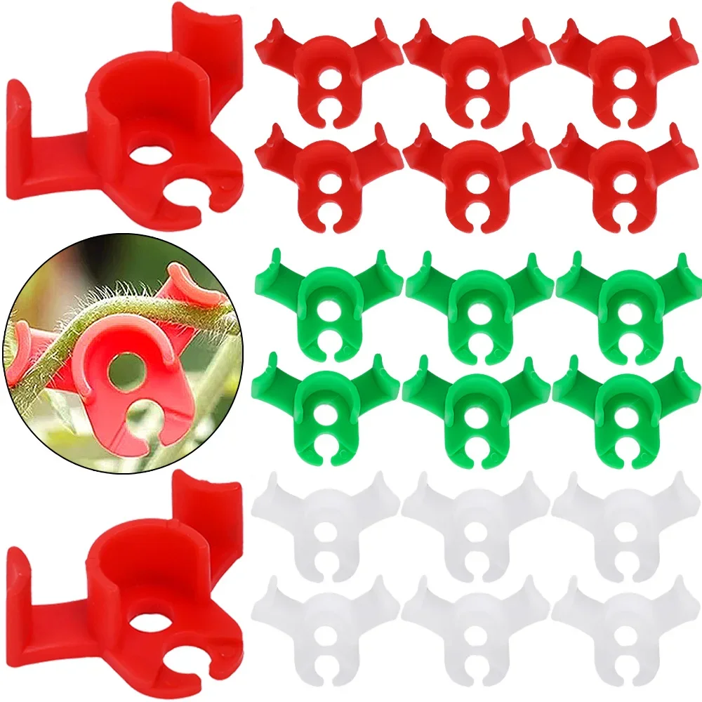 Plant-Clamp-Bending-Device-Flower-Vine-Branches-Plant-Stem-Training ...