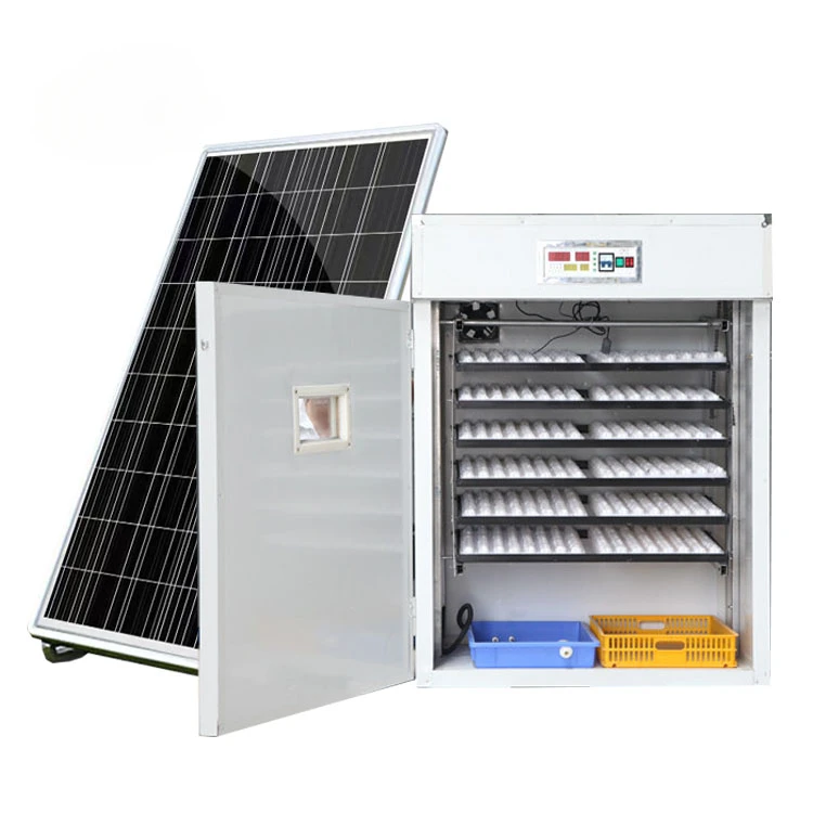 S6 Factory price Solar Powered Incubators Farming Solar Incubators ...