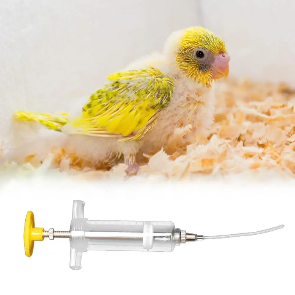 1 Set Easy to Use Bird Feeding Tool Gavage Tube Milk Feeder Reusable ...