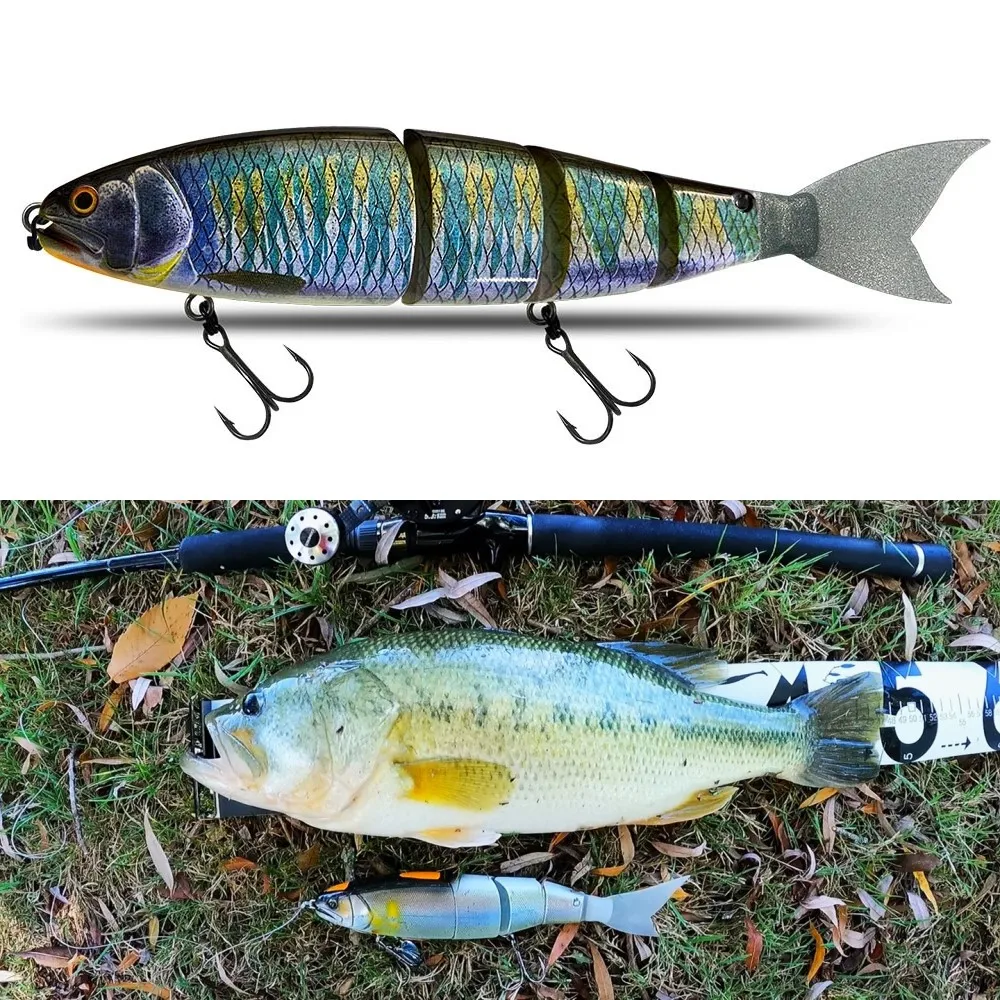 Swimbait-balam-245-lure-madness-Giant-Bait-Balam-245-Floating-Lure-For ...