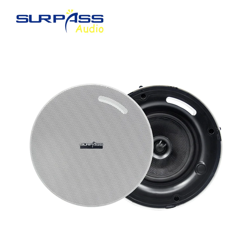 Big Power Coxial Ceiling Column Loadspeaker Background Music BGM System ...