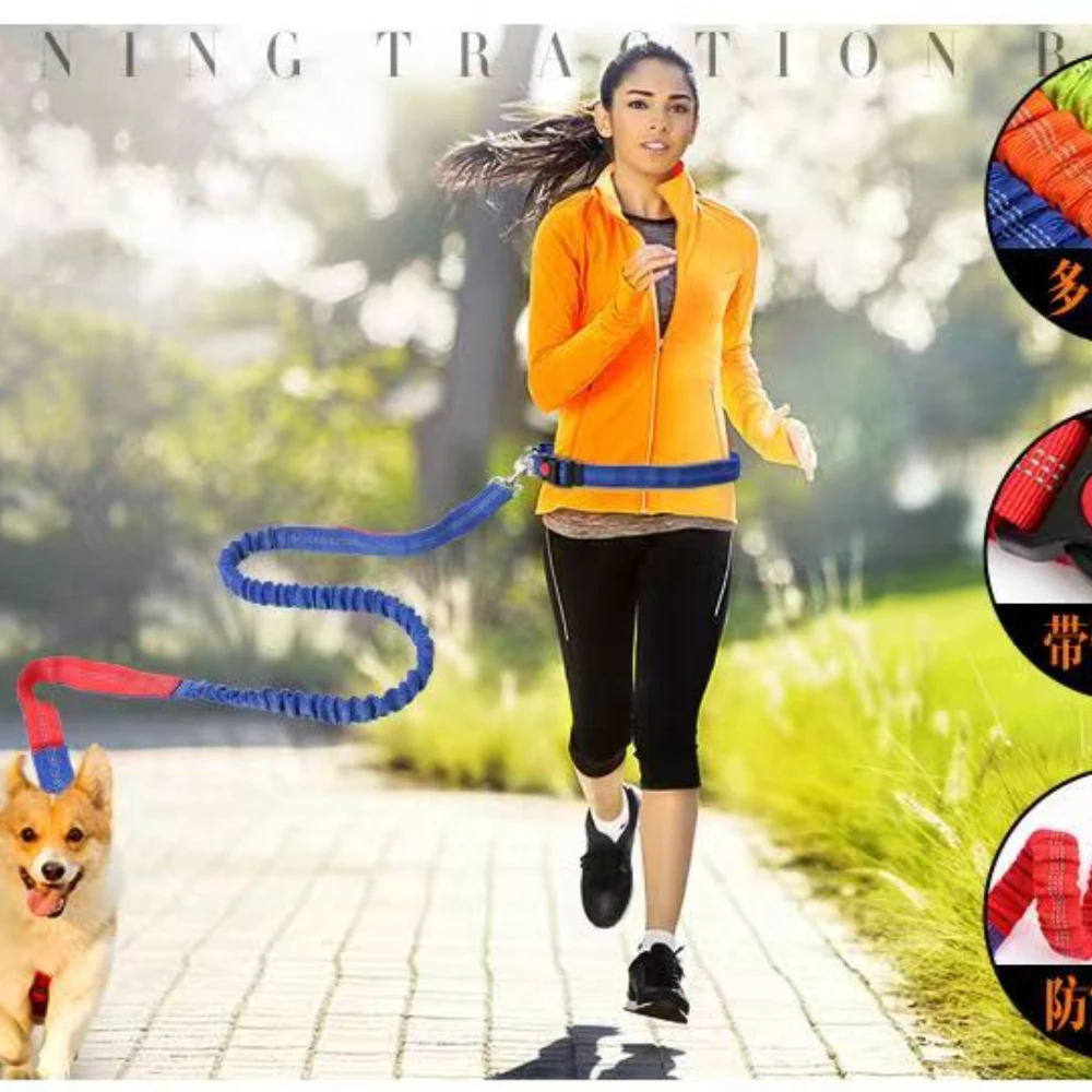 Hand Free Dog Leash for Pet Walking Running Jogging Adjustable Dog ...