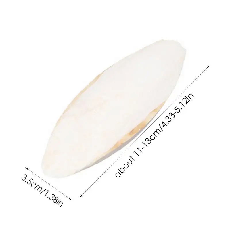 Cuttlefish Cuttlebone