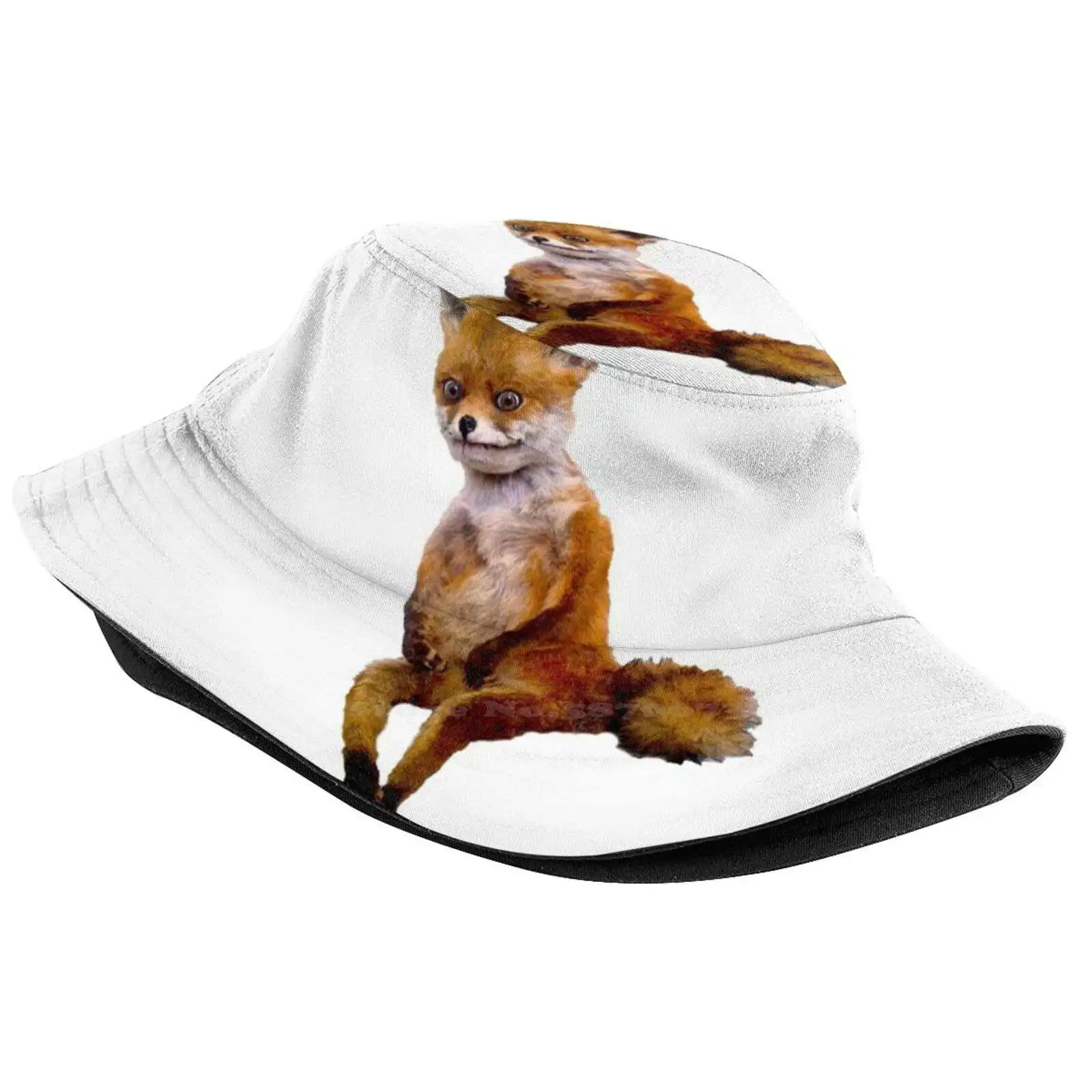 Stoned Fox Meme With Words