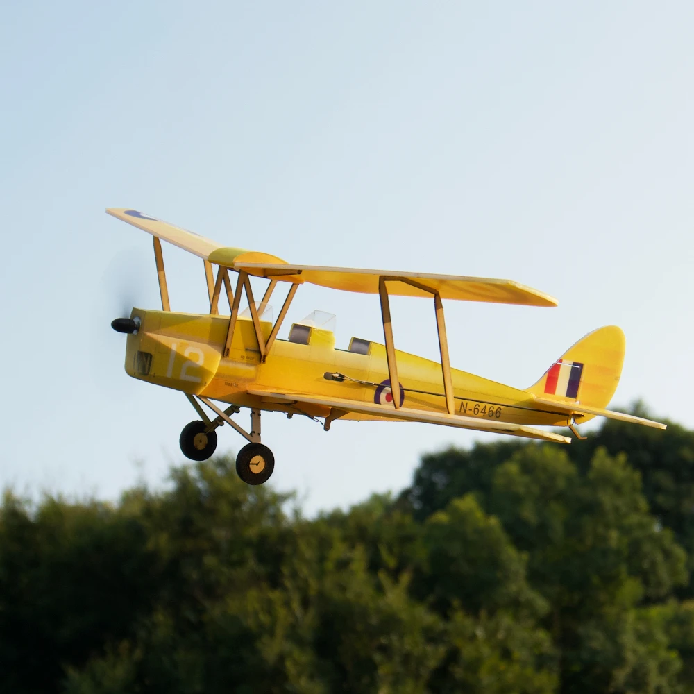 MinimumRC Tigermoth 360mm Wingspan 4 Channel Italian seaplane RC ...