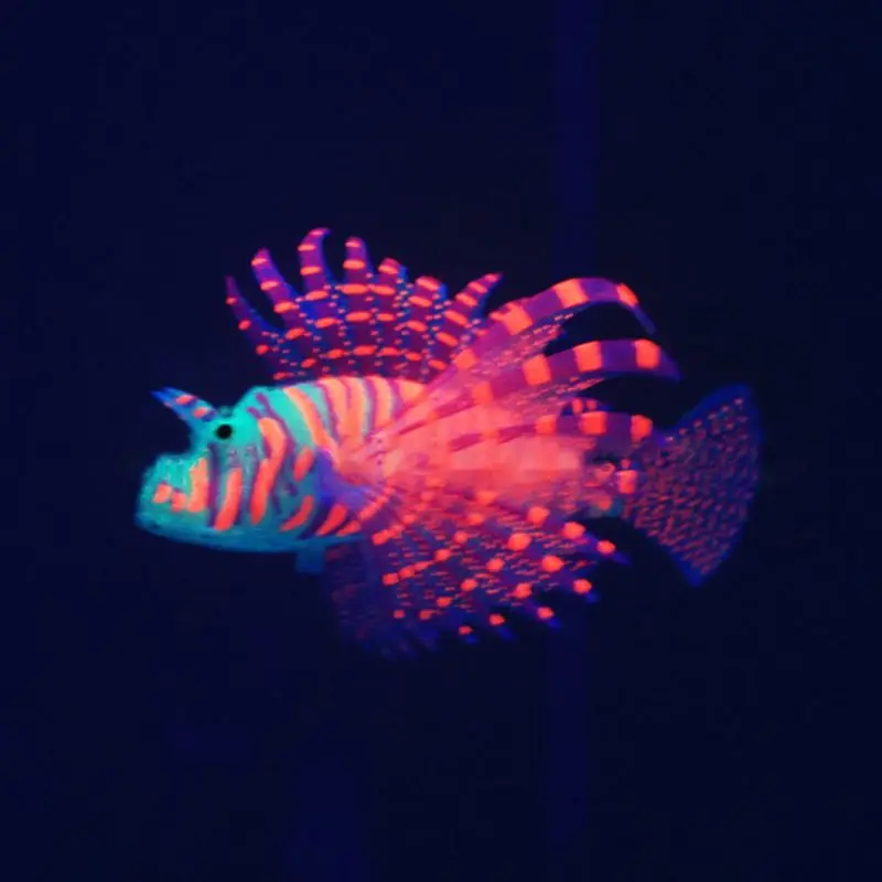 Glow Fish Tank