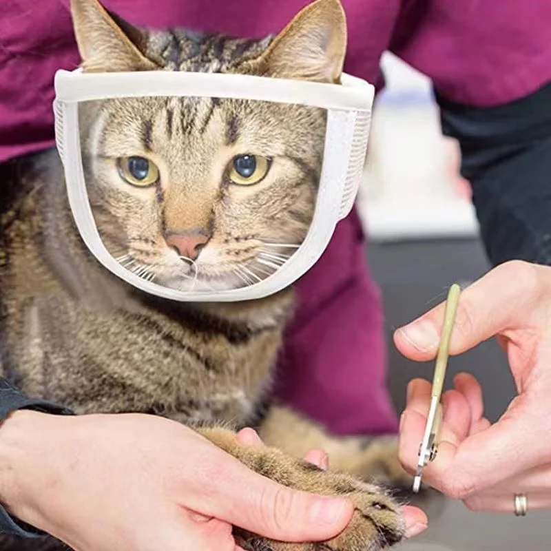 Transparent Cat Muzzle Breathable Dogs Cats Bathing Grooming Tools Anti ...