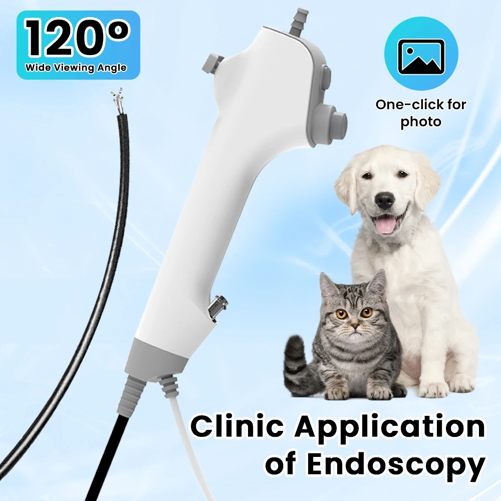 Endoscope Veterinary Use: The Complete Guide to Choosing and Using a ...