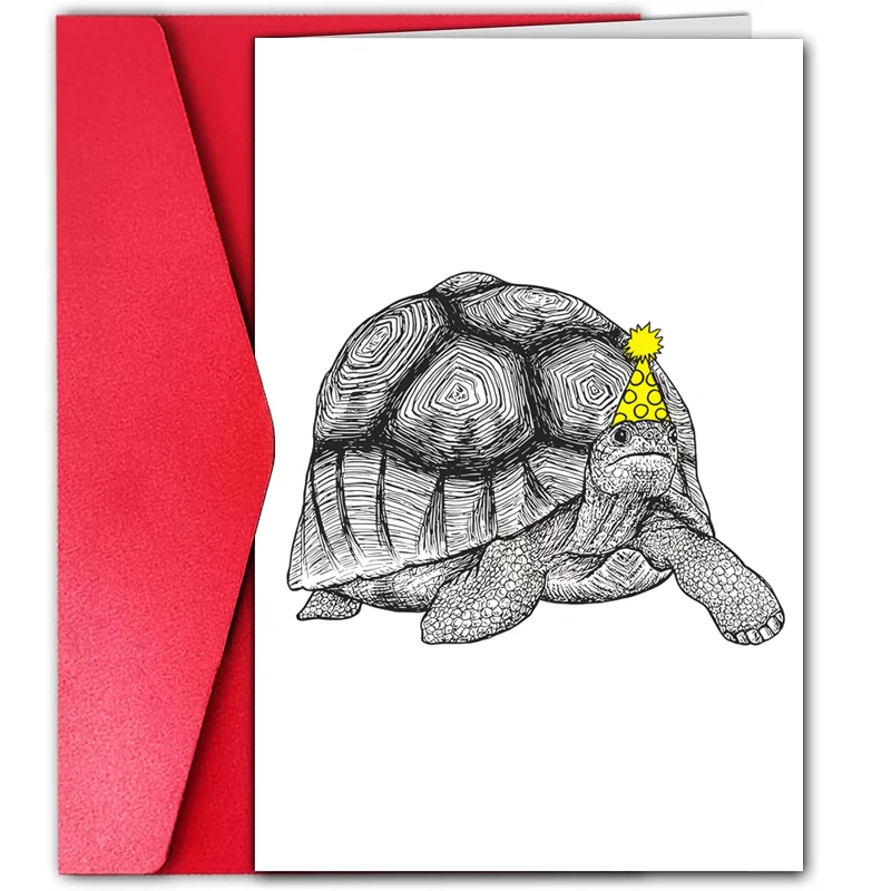 1-pc-funny-birthday-card-creative-big-turtle-greeting-card-the-best ...