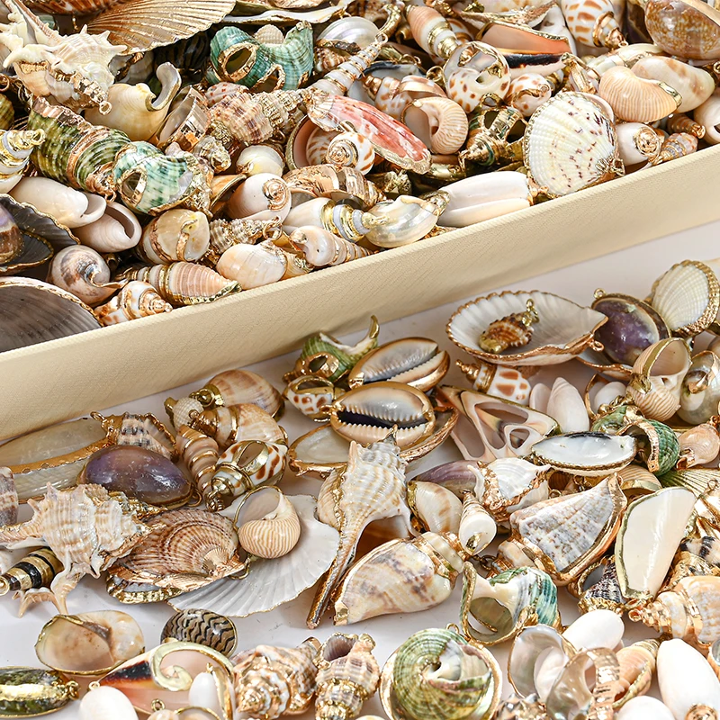 5pcs Natural Seashell Metal Crafts Ornaments Tiny Shell Conch Cowire ...