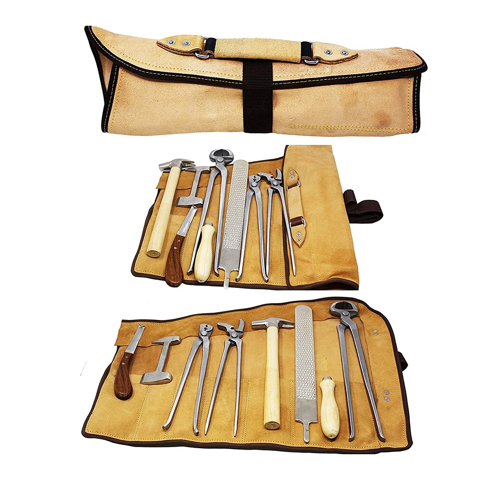 Buy Veterinary Instrument Professional Equine Horse Tool Kit Grooming ...