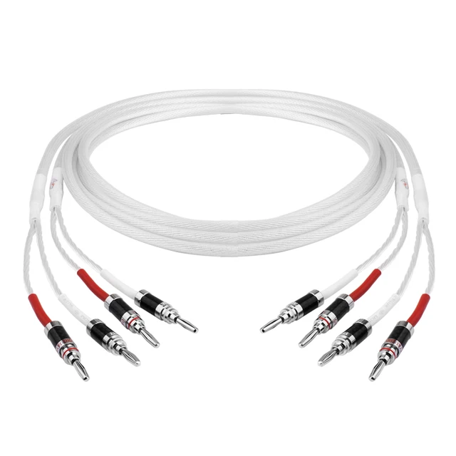 홈 제품 메가 썸머 세일 피드백 브랜드 스토리