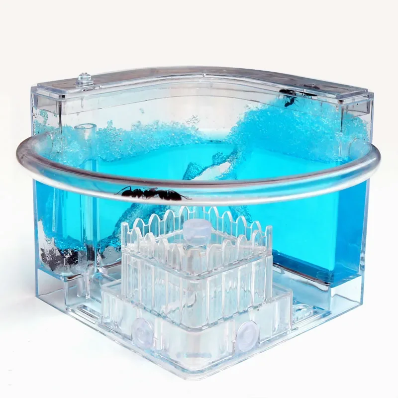 Ant Workshop Roller Coaster Ecology Sand Nest Estate Ant Castle Home ...