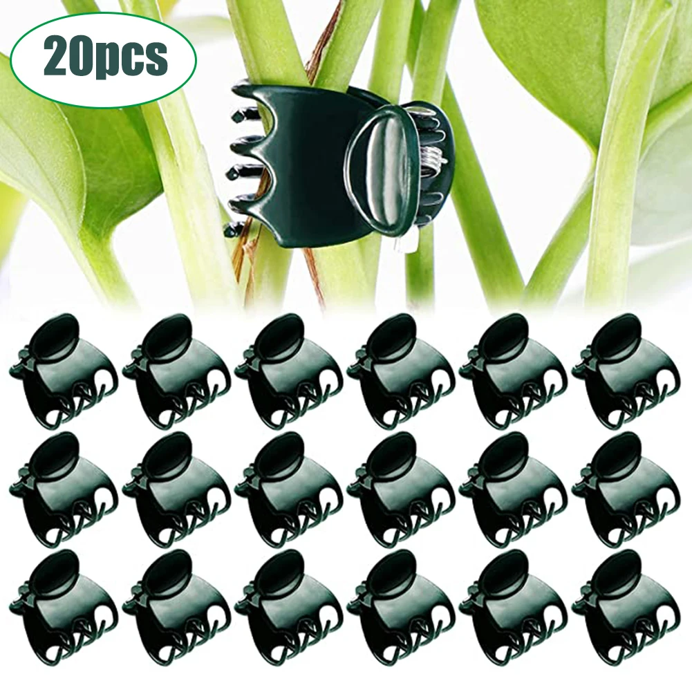 20Pcs Phalaenopsis Orchid Gardening Vine Fixing Clip Plastic Grafting ...