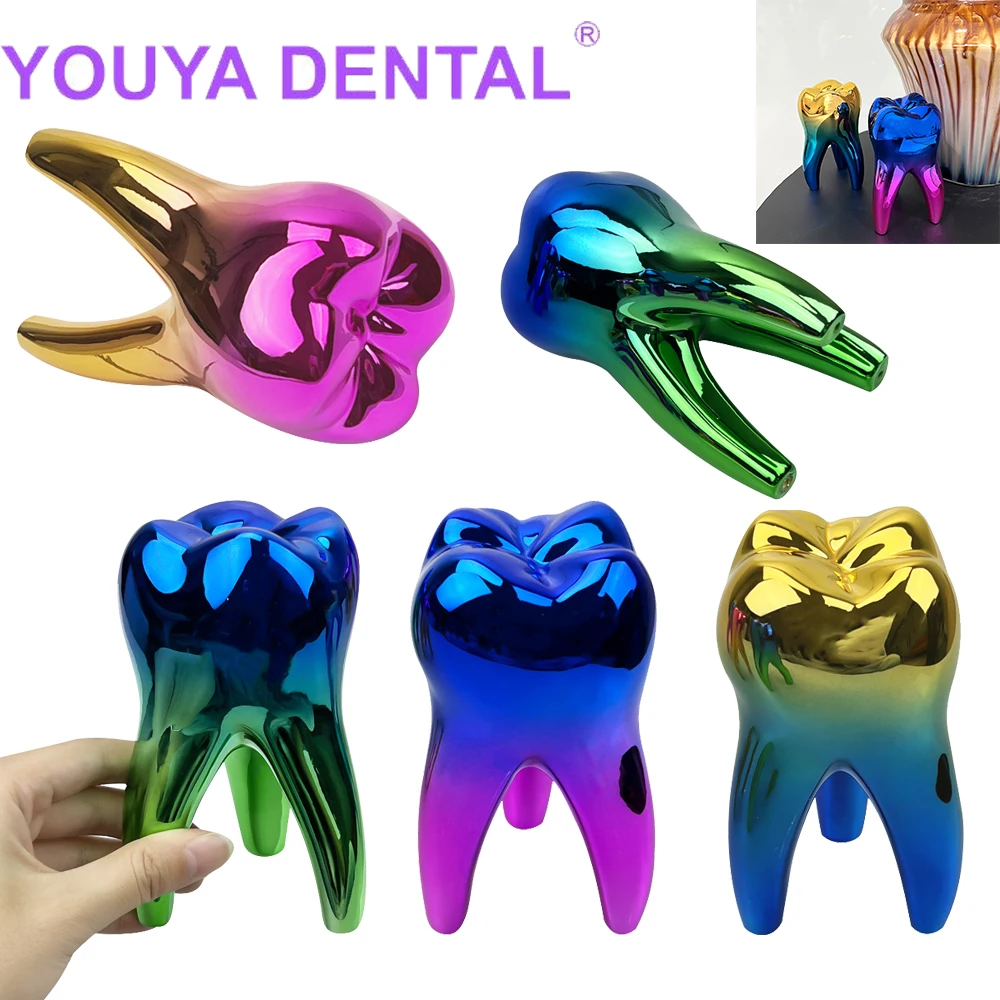 1Pcs-Creative-Colored-Dental-Ornaments-Art-Crafts-Teeth-Model-Dentist ...