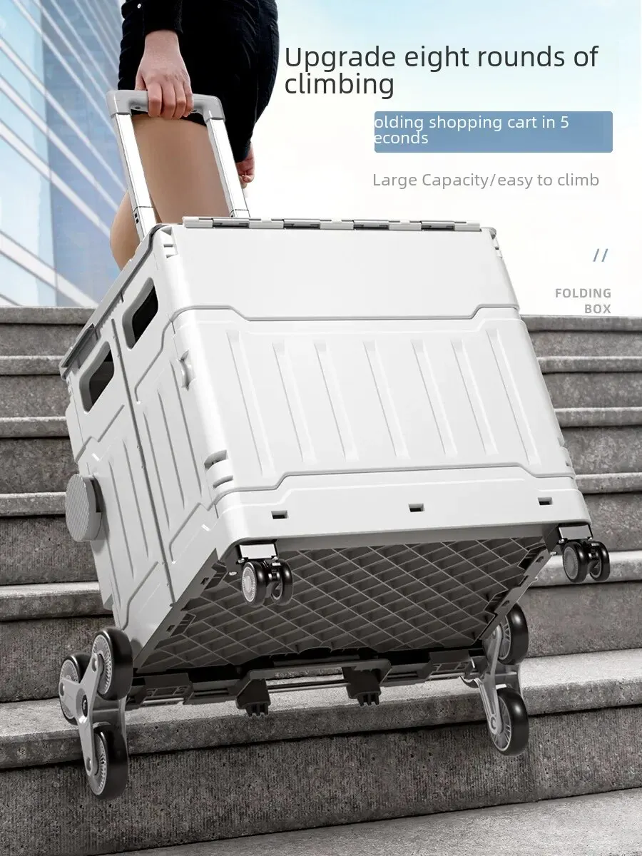 Store Home Products Outdoor Fun Feedback